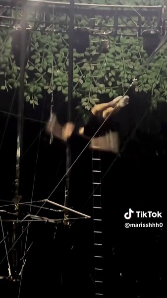 Circus Aerialist: Stunning Hair Hanging Performance