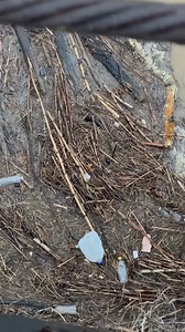 44K views · 613 reactions | Kendall Gray Hunter on Reels | Facebook