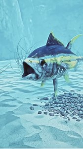 "How Do Fish Breathe Underwater? | Amazing Science Explained" | Ajib o Garib