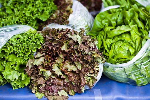 12 Different Types Of Lettuce That Will Make Your Salad Way More Exciting