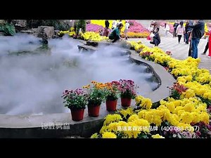 The Secret to a Stunning Garden | Nebufly Misting Systems