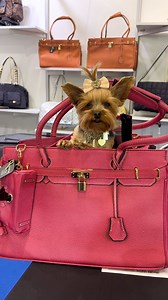 3.7K views · 107 reactions | What tips can you add? Training your...