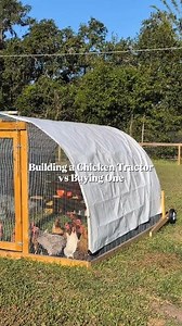 954K views · 11K reactions | Should you build or buy your chicken...