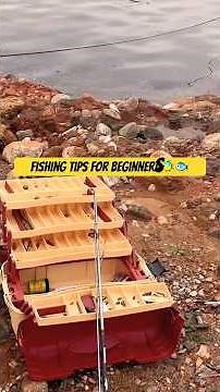 How to: setup for beginners.