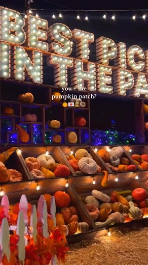 16K views · 599 reactions | Summer, it's been a blast, but guess what? Jack's is back! Tickets are now LIVE!  Chicago’s Largest Pumpkin Pop-Up returns for our 8th season for a few weeks only!  Chicago’s Largest Corn Maze  4 Full Bars w/ Signature Fall Cocktails  10,000+ Pumpkins  Photo Ops 望 Axe Throwing  Carnival Games All Ages Welcome | 21+ to Drink Goose Island Chicago | Jack's Pumpkin Pop Up | Facebook