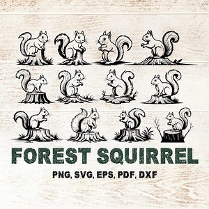 Squirrel SVG Bundle: Woodland Cut Files for Card Making (digital Download) - Etsy