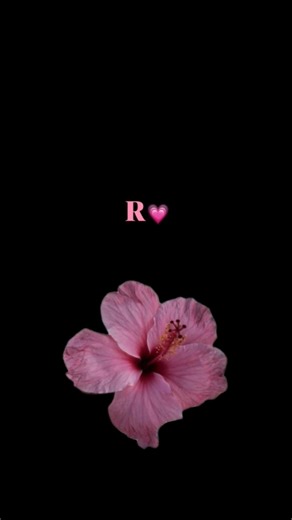 R name letter lovers status video #viralvideo #trending #ytshots #rlover #statusvideo#save#file#😘🥰
