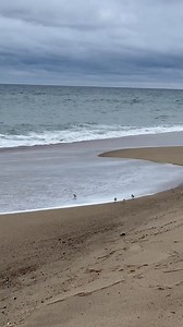 Head of the Meadow Beach - Truro, Massachusetts - Cape Cod - January 2025 Cape Cod, Massachusetts Video by: Mark TR Filteau | Cape Cod, Massachusetts
