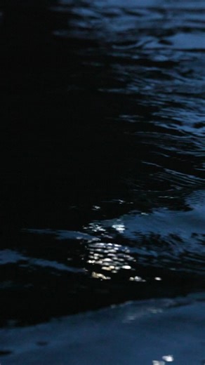 46 reactions | Torque that pulls like a freight train. Explore the XStar here: https://www.mastercraft.com/boats/xstar | MasterCraft Boat Company | Facebook