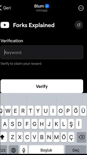 BLUM KEYWORD: Forks Explained