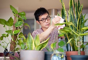 – What’s the Ideal Indoor Humidity and How Can It Be Managed?