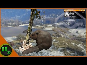 Bow Hunting For A Diamond Beaver! Call Of The Wild