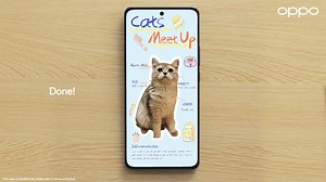 2K reactions · 503 shares | လိုချင်တဲ့ အစိတ်အပိုင်းလေး တစ်ခုကိုပဲ...