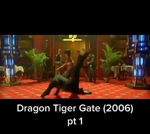 Dragons Tiger Gate part one #martialarts #Fight