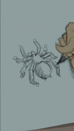 How to draw a realistic spider