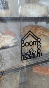 Growing 🍄🍄 mushrooms at home has never been easier! The BoomRoom is a fully automated martha tent mushroom fruiting chamber that gives you control of humidity, CO2 levels, fresh air exchange, and spore filtration. Right now, get 20% OFF with code 'BOOM20' | North Spore
