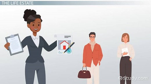 Life State | Definition, Remainderman & Examples