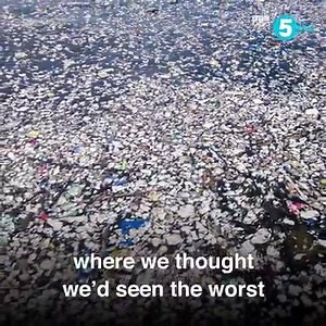 18 reactions | How long does it take to decompose ? Paper Towel -...