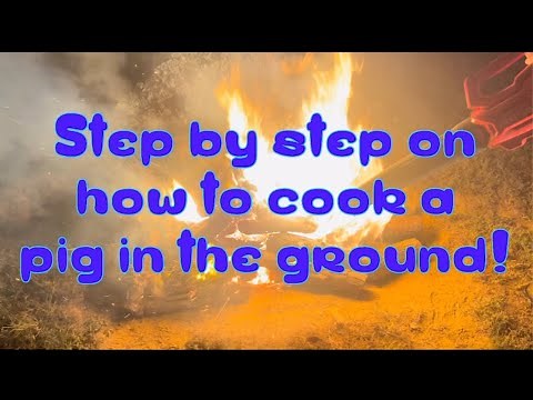 How to cook a pig in the ground, raw, step by step footage of the whole process.