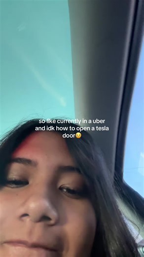 How to Open a Tesla Door in an Uber