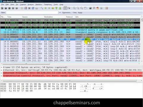 Analyze A Bot Infected Host With Wireshark