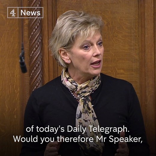 166K views · 822 reactions | Conservative MP Anna Soubry MP says five tweets "issuing threats against myself" have been reported to the police after a newspaper called her a "Brexit mutineer" because of her stance on the EU. | Channel 4 News Democracy | Facebook