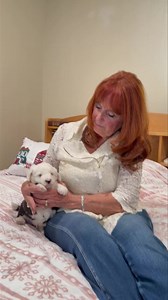 20 reactions | 殺❣️ I’m 5 weeks old and cute as can be  Nothing...