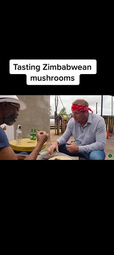 Exploring Zimbabwean Mushroom Flavors | Food Review Show Zim