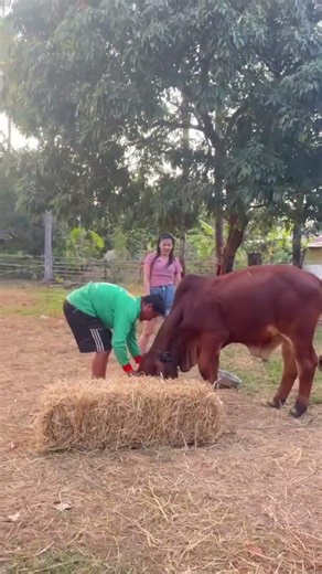 ตำจนล้มพุ้นติ #ตลก #funny #comedy