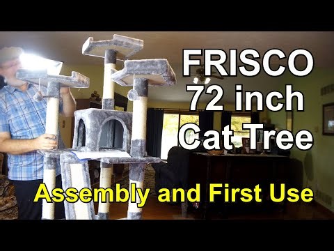 Elevate Your Feline's Paradise With The Ultimate Frisco 72 Inch Cat Tree! - Assembly and First Use