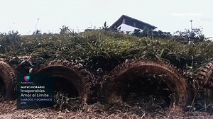 [Nuevo Horario] Inseparables por Amor al Límite, enfrentarán sus miedos y locuras. Sabados y domingos a las 6 pm por Univision Puerto Rico. | Teleonce