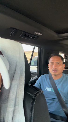 118 reactions · 45 shares | We are in mini cow farm #cow #farm #reels #brother #neighborhood #minifarm #reelsfbシ #followers #highlights | Tess Allyn | Facebook