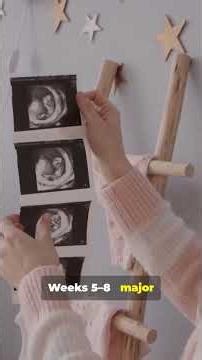 Watch a Baby Grow in 60 Seconds