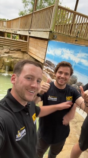 Penguin pool cleaning @Thepoolguyml style! Watch till the end! 👀😂. #thepoolguy #hollayaboy #penguinpool #cleantok #satisfying