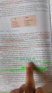 Refer to the given graph representing rate of photosynthesis in... | Filo