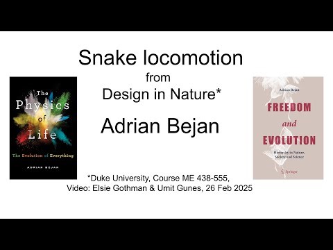 Adrian Bejan | Snake locomotion, from Design in Nature