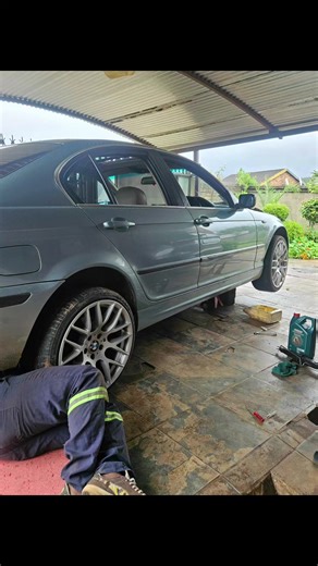 BMW E46 Gearbox and Differential Service Guide