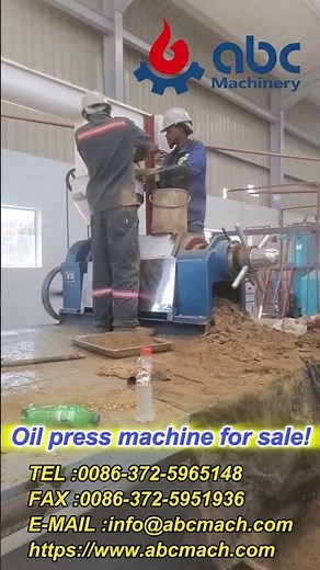 Screw Oil Press – High-Efficiency Oil Press Machine for Commercial Use