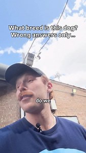 36K views · 5.7K reactions | Hi, I’m Labubu. I was in line to be...