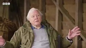 ⭐TONIGHT ON WINTERWATCH⭐ Sir David Attenborough and Chris Packham in conversation ahead of David’s brand new upcoming BBC One series, Wild Isles 🌸 Tune in tonight at 8pm to hear what was discussed between these two champions of nature 🤩 Sir David Attenborough will present Wild Isles, a major new five part natural history series from Silverback Films for BBC One and iPlayer, that aims to do for the wildlife of Britain and Ireland what the Planet series have done for the wildlife of the world. F