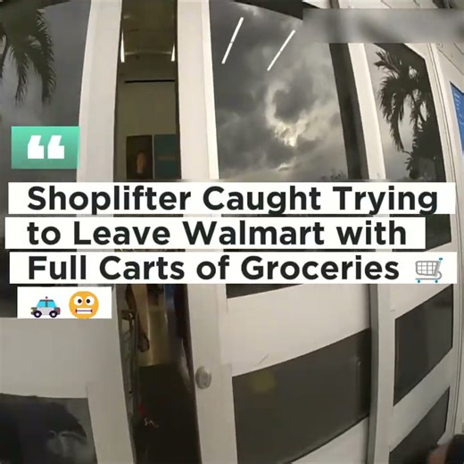 Walmart Shoplifting Case Highlights How Loss Prevention Builds Evidence 🛒🚓😬 A real world reminder that full cart theft can lead to serious charges, and stores often document patterns through cameras and receipts. Save and share to promote responsible choices and avoid costly consequences 🧠⚖️ #RetailAwareness #LegalAwareness #Accountability #PublicSafety | Dr. Transparency