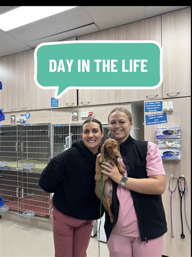 A Day in the Life of a Vet Nurse