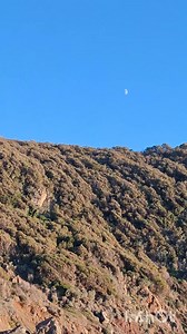 5.1K views · 199 reactions | Ground control Avvisa major Tom che la meteorite☄️ é qui 樂 | Noi Livornesi Doc | Facebook