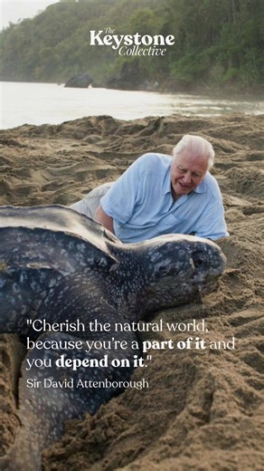 Protecting the Planet and Conserving Wildlife