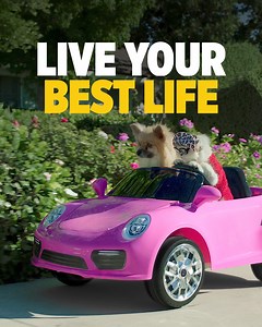 39K views · 10K reactions | Get in, members! Save big with USAA Auto Insurance and enjoy shopping discounts with USAA Perks®. | USAA | Facebook