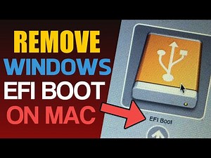 Removing the EFI Boot from my Internal hard drive on Mac | After Windows removal