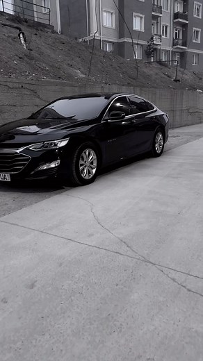 Nurbek_yuldashev on Instagram: "Sokinishda davom etamiz🐅🐅"