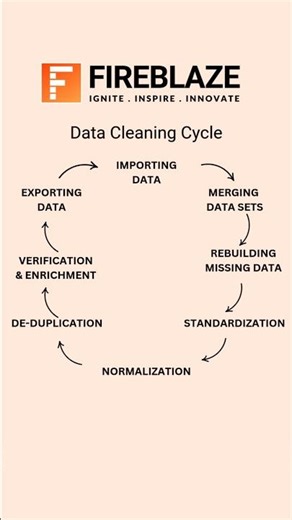 Mastering the Data Cleaning Cycle