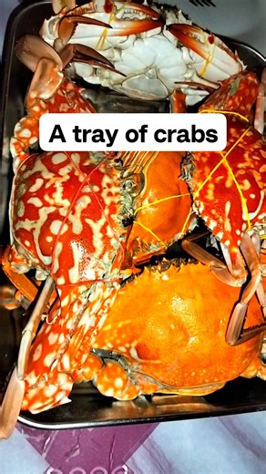 33 reactions · 25 comments | Patibayan ng sikmura,  Burp!  #fblifestyles | Joan Belangel Secong | Facebook