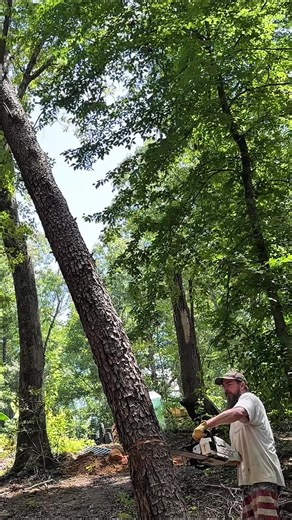 If you’ve got a tree that needs the bark stripped off of it, definitely get this draw knife. It does the job super quick. #homesteading #drawknife #lumbermill #treefalling #easttennessee